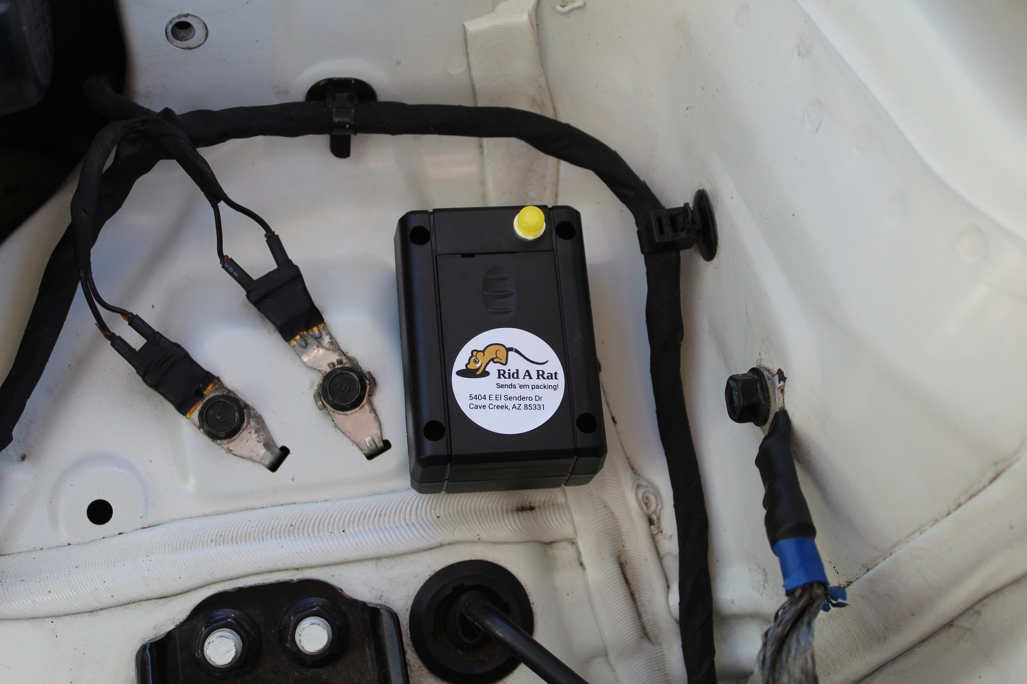 Pack Rat Deterrent – Rid A Rat